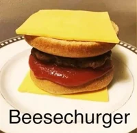 Chat with Beesechurger | character.ai | Personalized AI for every ...