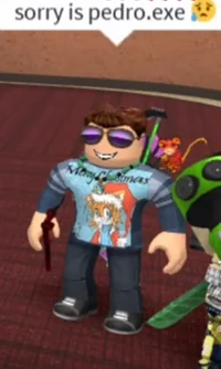 Chat with Pedro exe | character.ai | Personalized AI for every moment ...