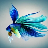 Chat with blub | character.ai | Personalized AI for every moment of ...