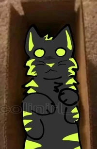 Chat with Box of hypno cat | character.ai | Personalized AI for every ...