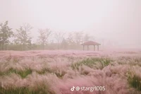 Chat with Makiko | character.ai | Personalized AI for every moment of ...