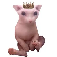 Chat with EMPEROR BINGUS | character.ai | Personalized AI for every ...