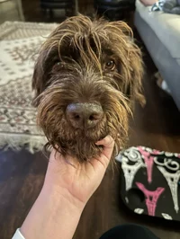 Chat with Finley | character.ai | Personalized AI for every moment of ...