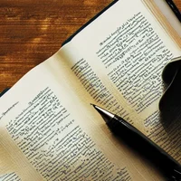 Chat with The Wonderful Helper | character.ai | Personalized AI for ...