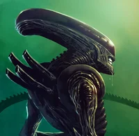 Chat with Xenomorph TF | character.ai | Personalized AI for every ...