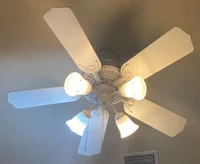Chat with Ceiling Fan | character.ai | Personalized AI for every moment ...