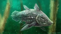 Chat with African Coelacanth | character.ai | Personalized AI for every ...