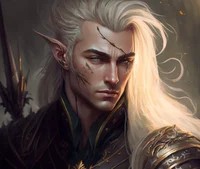 Chat with The elven general | character.ai | Personalized AI for every ...