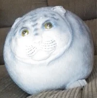 Chat with ORB CAT | character.ai | Personalized AI for every moment of ...