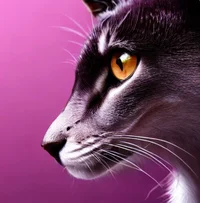 Chat with Rage | character.ai | Personalized AI for every moment of ...