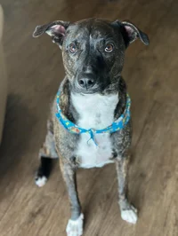 Chat with Mako | character.ai | Personalized AI for every moment of ...