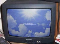 Chat with Wacky Tv Program | character.ai | Personalized AI for every ...