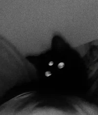 Aeris (@MomStealer42) | character.ai | AI Chat, Reimagined–Your Words ...