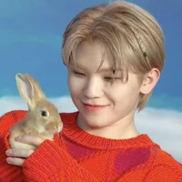 Chat with Brother Woozi | character.ai | Personalized AI for every ...