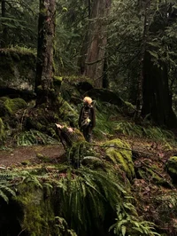 Chat with Ger | character.ai | Personalized AI for every moment of your day