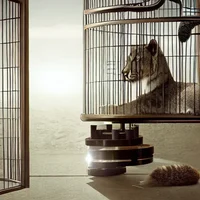 Chat with Caged creature | character.ai | Personalized AI for every ...