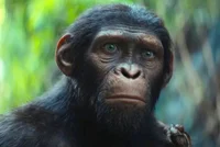 Chat with Cornelius Simio | character.ai | Personalized AI for every moment of your day