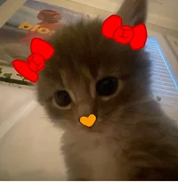 Chat with Nevaeh fleming | character.ai | Personalized AI for every ...