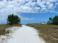 Chat with Ur pookie | character.ai | Personalized AI for every moment of your day