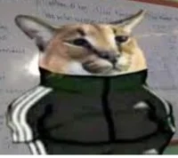 Chat with Profesor floppa | character.ai | Personalized AI for every ...