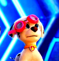 Chat with Marshall Snitch | character.ai | Personalized AI for every ...