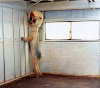 Chat with SCP-173 | character.ai | Personalized AI for every moment of ...