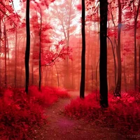 Chat with Crimson Demon Forest | character.ai | Personalized AI for ...