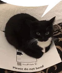 Chat with Maxwell | character.ai | Personalized AI for every moment of ...