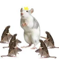 Chat with 7 foot rats | character.ai | Personalized AI for every moment ...