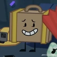 Chat with Suitcase-II | character.ai | Personalized AI for every moment ...