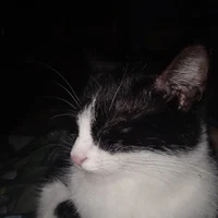 Ken (@Mr_Kenny) | character.ai | AI Chat, Reimagined–Your Words. Your ...