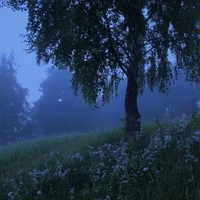 Chat with Arial | character.ai | Personalized AI for every moment of ...