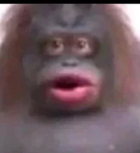 Chat with The Stinky | character.ai | Personalized AI for every moment ...