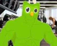 Chat with Muscular Duolingo | character.ai | Personalized AI for every ...
