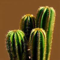 Chat with cactus bob | character.ai | Personalized AI for every moment ...