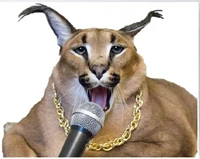 Chat with Floppa | character.ai | Personalized AI for every moment of ...