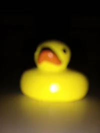 Chat with Odd Terrifying Duck | character.ai | Personalized AI for ...