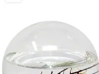 Chat with Ecosphere Simulator | character.ai | Personalized AI for ...