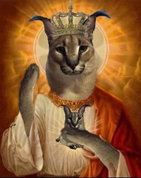 Chat with god floppa | character.ai | Personalized AI for every moment ...