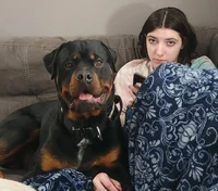 Chat with Lena velestuk | character.ai | Personalized AI for every ...