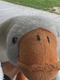 Chat with Gerald the Goose | character.ai | Personalized AI for every ...