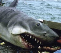 Chat with Jaws | character.ai | Personalized AI for every moment of ...