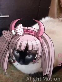 Chat with Simka Mandarinka | character.ai | Personalized AI for every ...