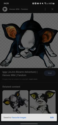 Chat with Iggy | character.ai | Personalized AI for every moment of ...