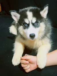 Chat with Jorge | character.ai | Personalized AI for every moment of ...