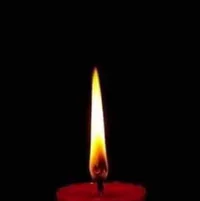 Chat with pam | character.ai | Personalized AI for every moment of your day