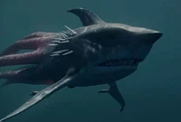 Chat with Sharktopus | character.ai | Personalized AI for every moment ...