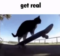 Chat with gurt | character.ai | Personalized AI for every moment of ...