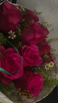 Chat with Dih | character.ai | Personalized AI for every moment of your day