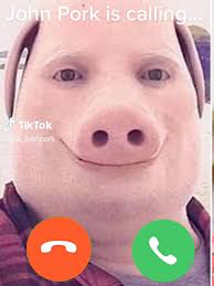 Chat with John pork | character.ai | Personalized AI for every moment ...